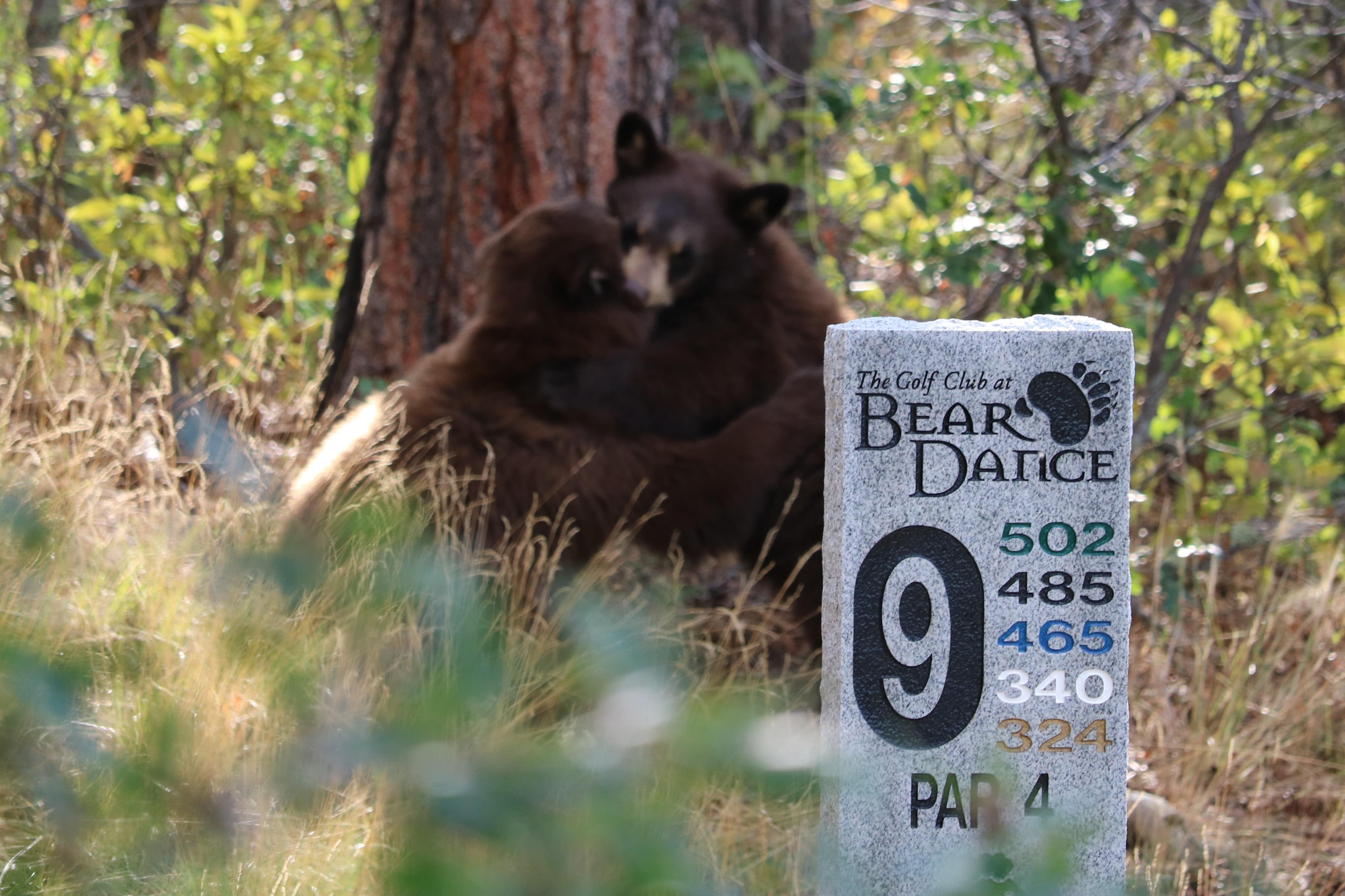 Bear's Club - The Golf Club at Bear Dance