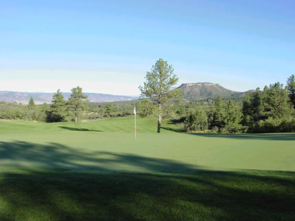 Course Layout - The Golf Club at Bear Dance